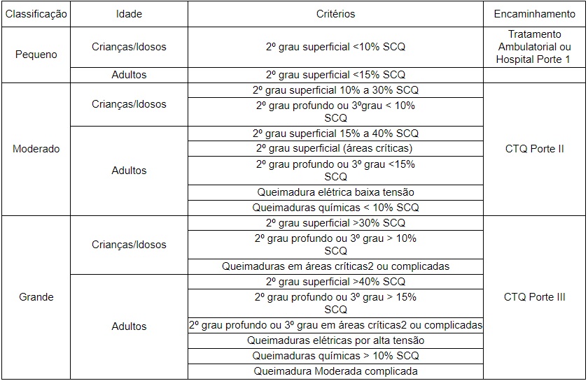 Linha De Cuidado De Assistência Ao Paciente Queimado | Secretaria De ...